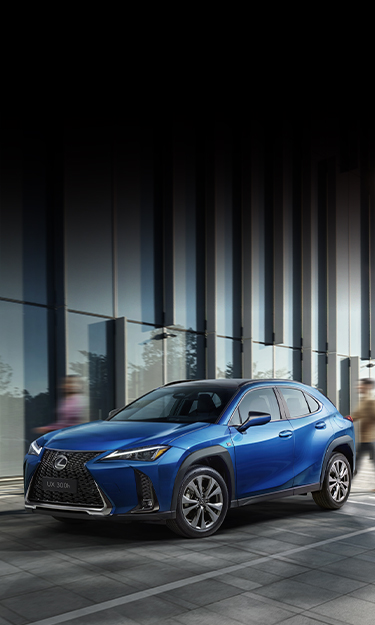 Lexus UAE | Experience Amazing