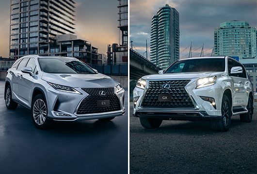 Lexus RX vs GX - Which is Ideal For You? | Lexus