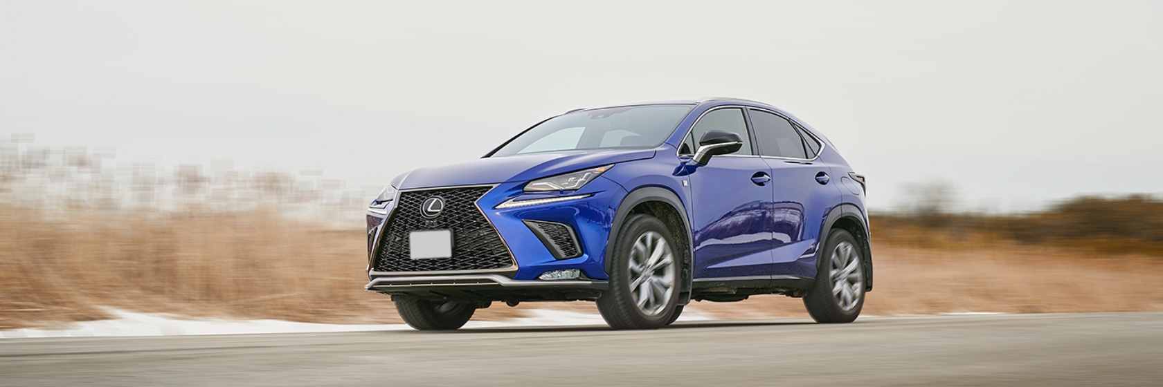 Difference Between Lexus UX and NX: Which is Right for You? | Lexus UAE