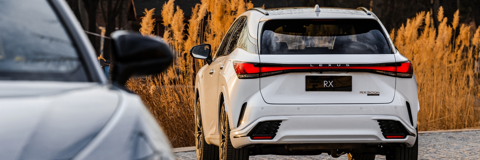 The All-New Lexus RX Series - Luxury 5-Seater SUV | Lexus