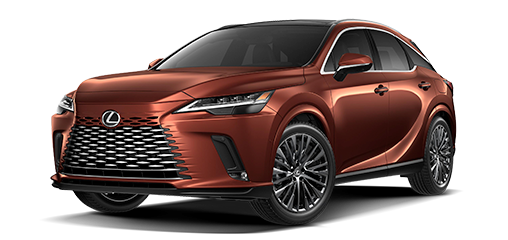 Lexus UAE | Experience Amazing