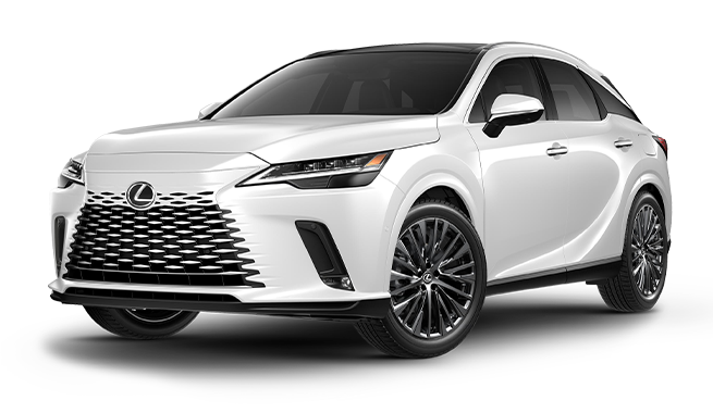Buy New and Used Lexus Cars in The United Arab Emirates | Lexus