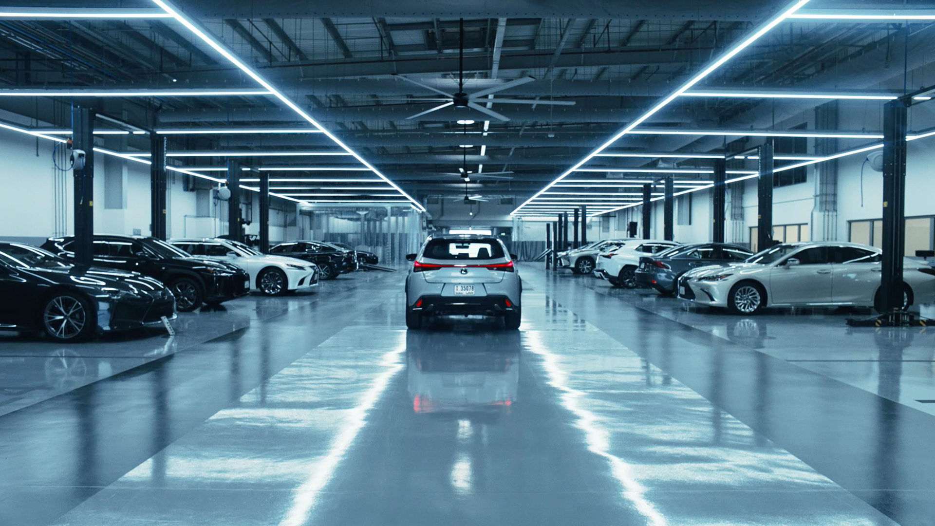 Lexus Cars DIP Showroom | Lexus